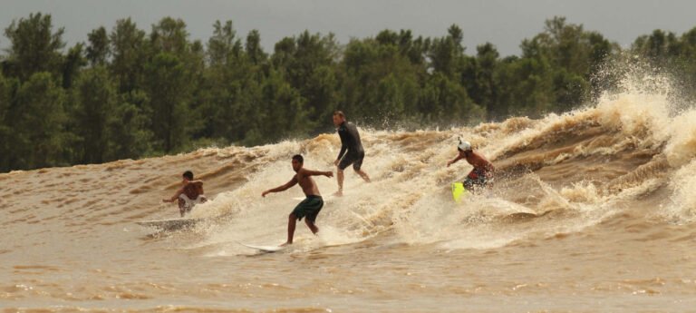 Conheça a Rota da Pororoca - Viagem em Pauta